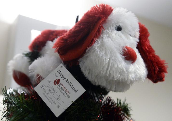 PHOTOS: Santa Delivers Toy Puppies to Children at Alamance Regional ...