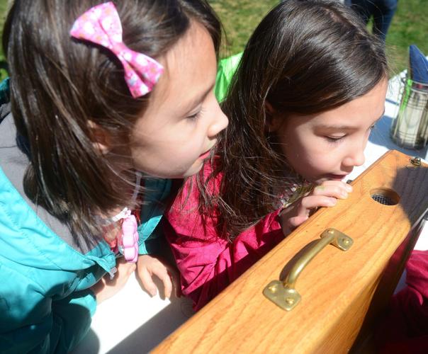 PHOTOS: Arbor Day Celebration at Beth Schmidt Park in Elon | News ...