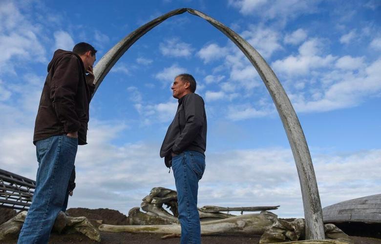 Shells' big gamble: Oil wrangling on the Arctic frontier | Business ...