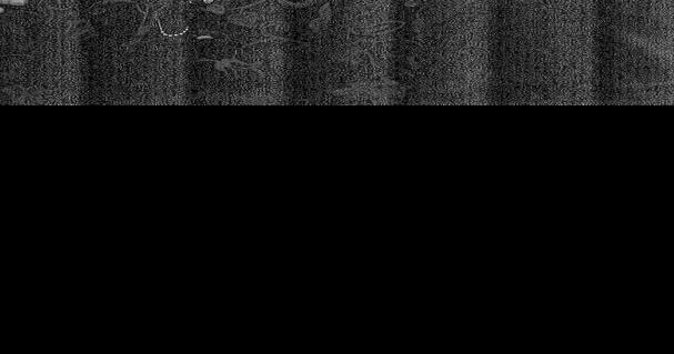 Clarence and Mary Piper | Features | thetimesnews.com