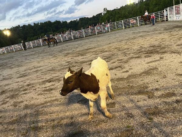Rodeo rounds up crowd for two nights of action | Local News ...