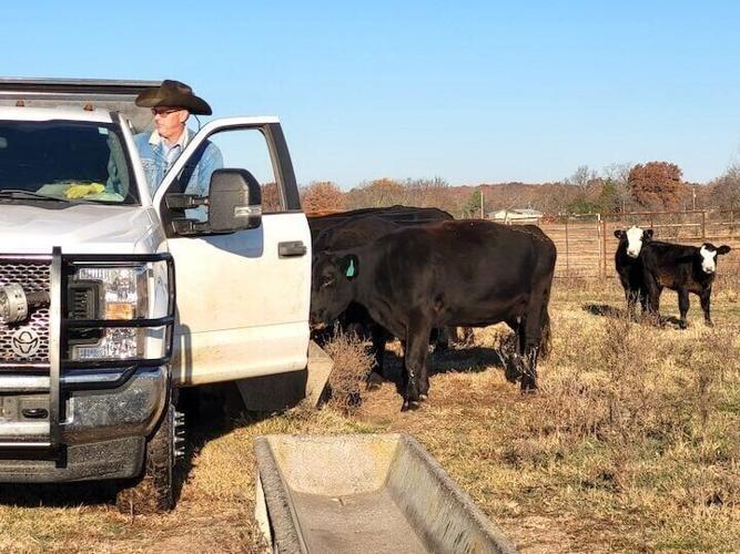 RANCHERS NUMBERS DECLINING: Bailout for farmers doesn't include ...