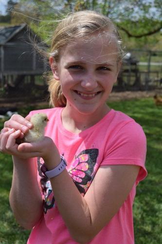 Whitley Farmers Market taking precautions with Tuesday opening | Local ...