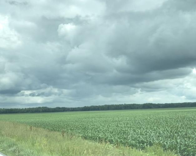 THE PREACHER'S DAUGHTER: Dear 270... | Kentucky | thetimestribune.com