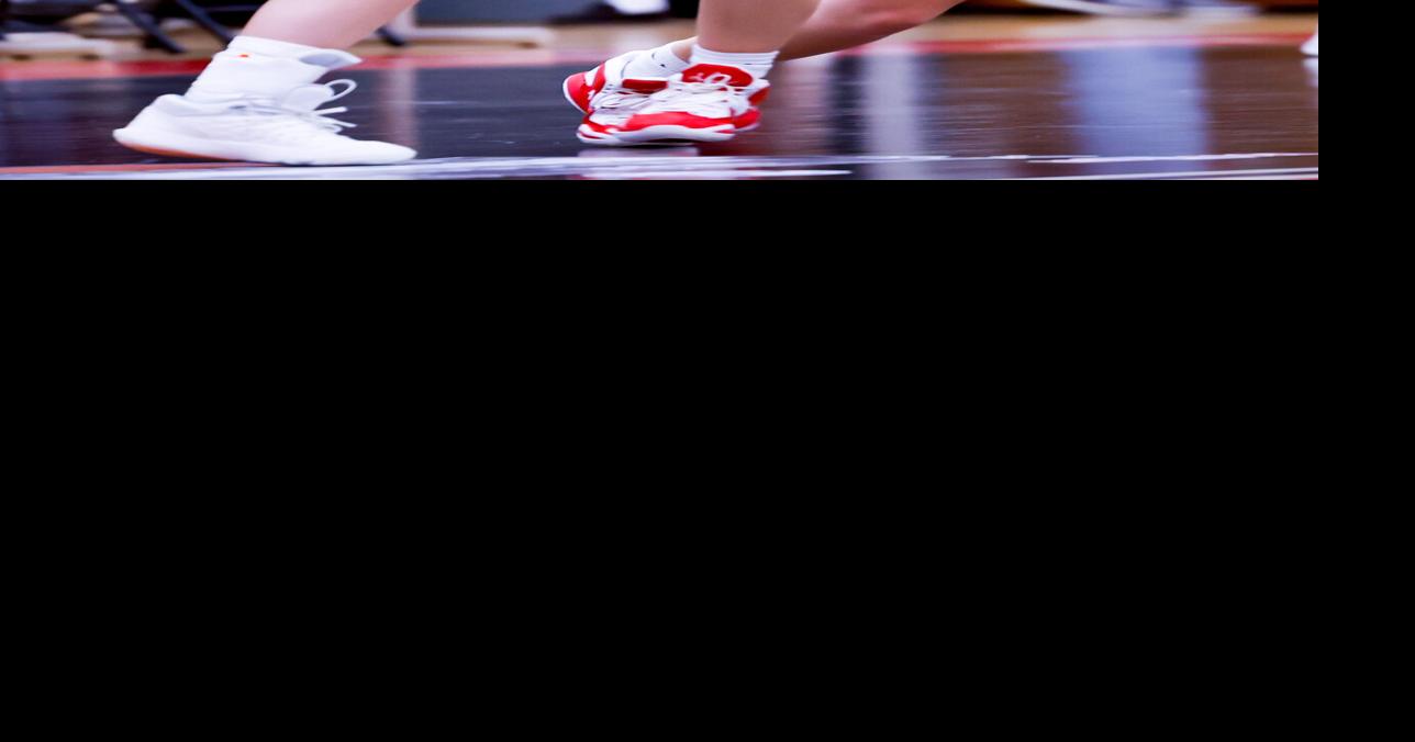 Lady Redhounds fall to defending state champs | Sports ...