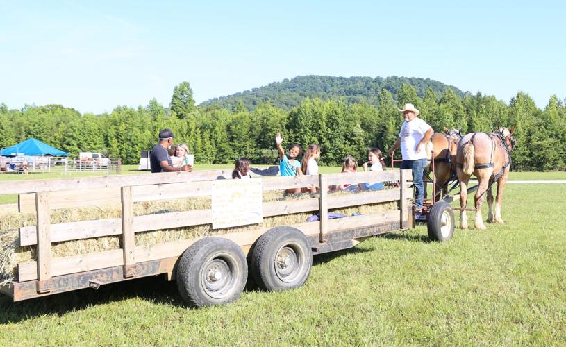 Whitley County Fair a huge success | Community | thetimestribune.com