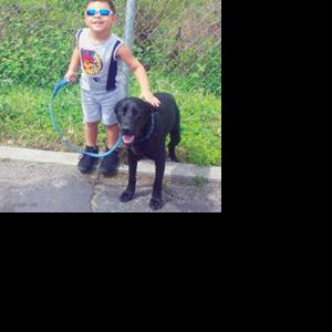 'Can you help me find my dog?' | Local News | thetimestribune.com