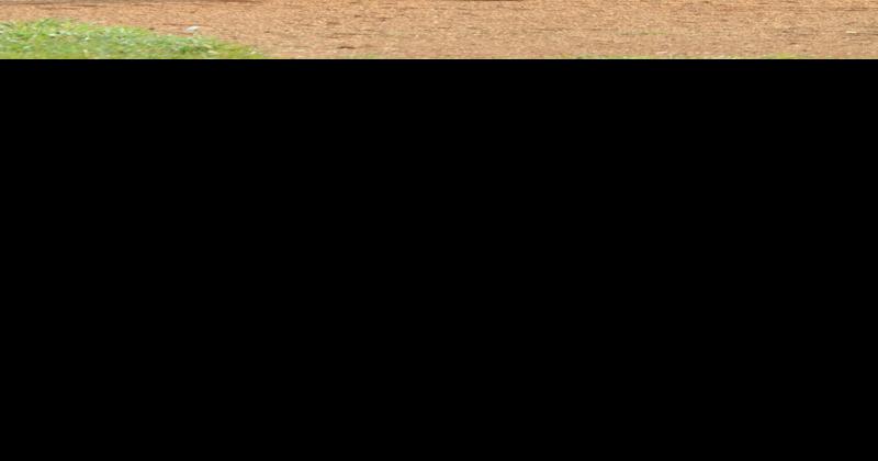 BASEBALL: Yearly grading of each Tri-County baseball team | Sports ...