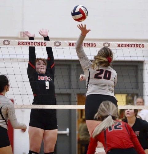 Halcomb excited to be back as Lady Colonel volleyball coach | Local ...