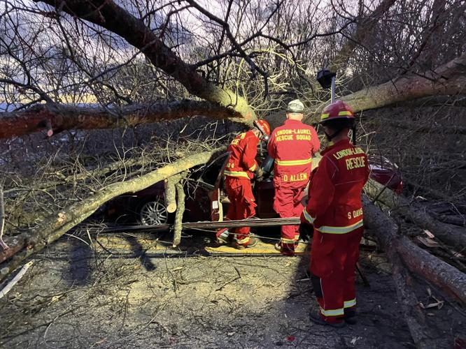 Driver gets trapped under tree in two-vehicle crash | News ...