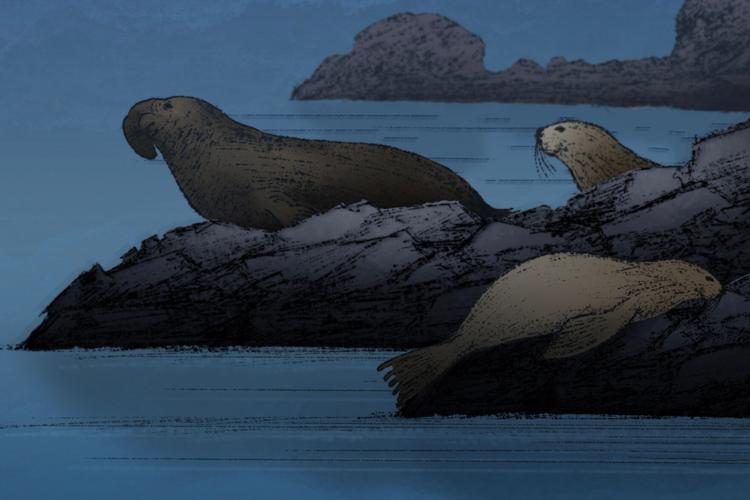 Nodding off is dangerous. Some animals have evolved extreme ways to ...