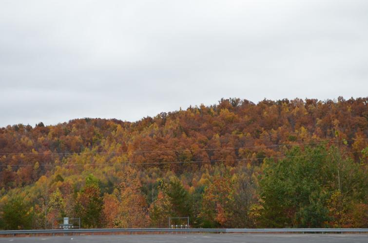 Fall colors in the foothills attracts tourists to area | News ...