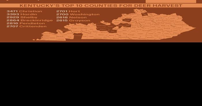 Deer harvest among highest in recent years | News | thetimestribune.com