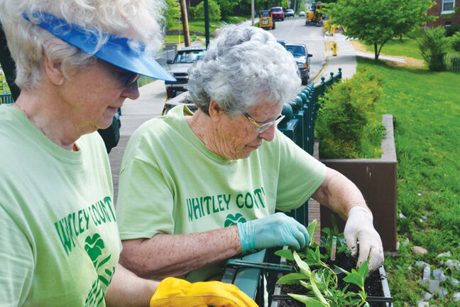 Civic leader Anne Hoskins passes away | News | thetimestribune.com