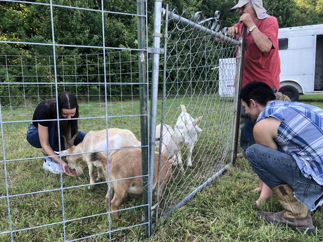 Whitley County Fair gets underway | Community | thetimestribune.com