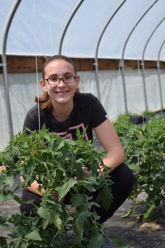 Whitley Farmers Market taking precautions with Tuesday opening | Local ...