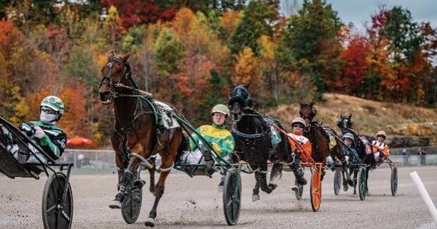 Celebrating 3 years of live harness racing fun at Cumberland Run ...