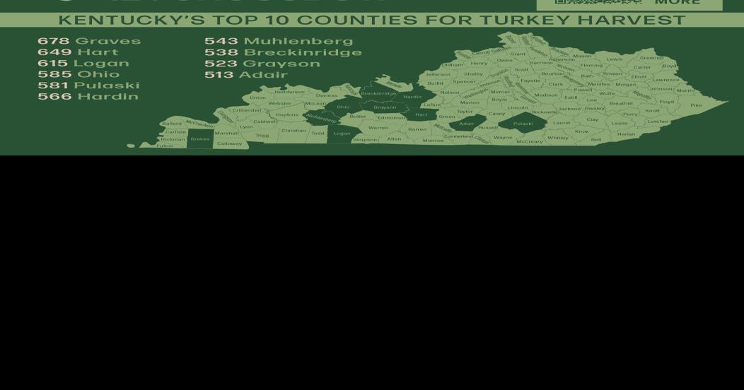 Kentucky Afield Outdoors: Turkey harvest high for spring season ...