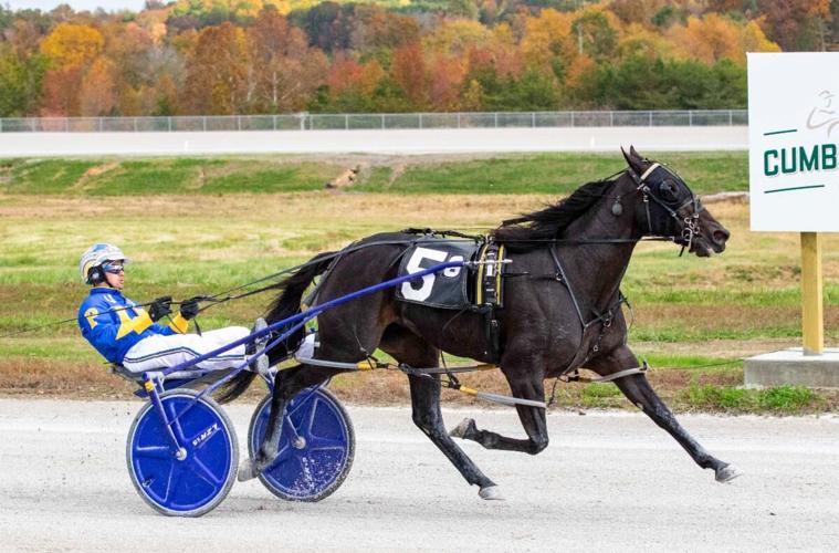 Cumberland Run wraps up successful inaugural meet | Kentucky ...