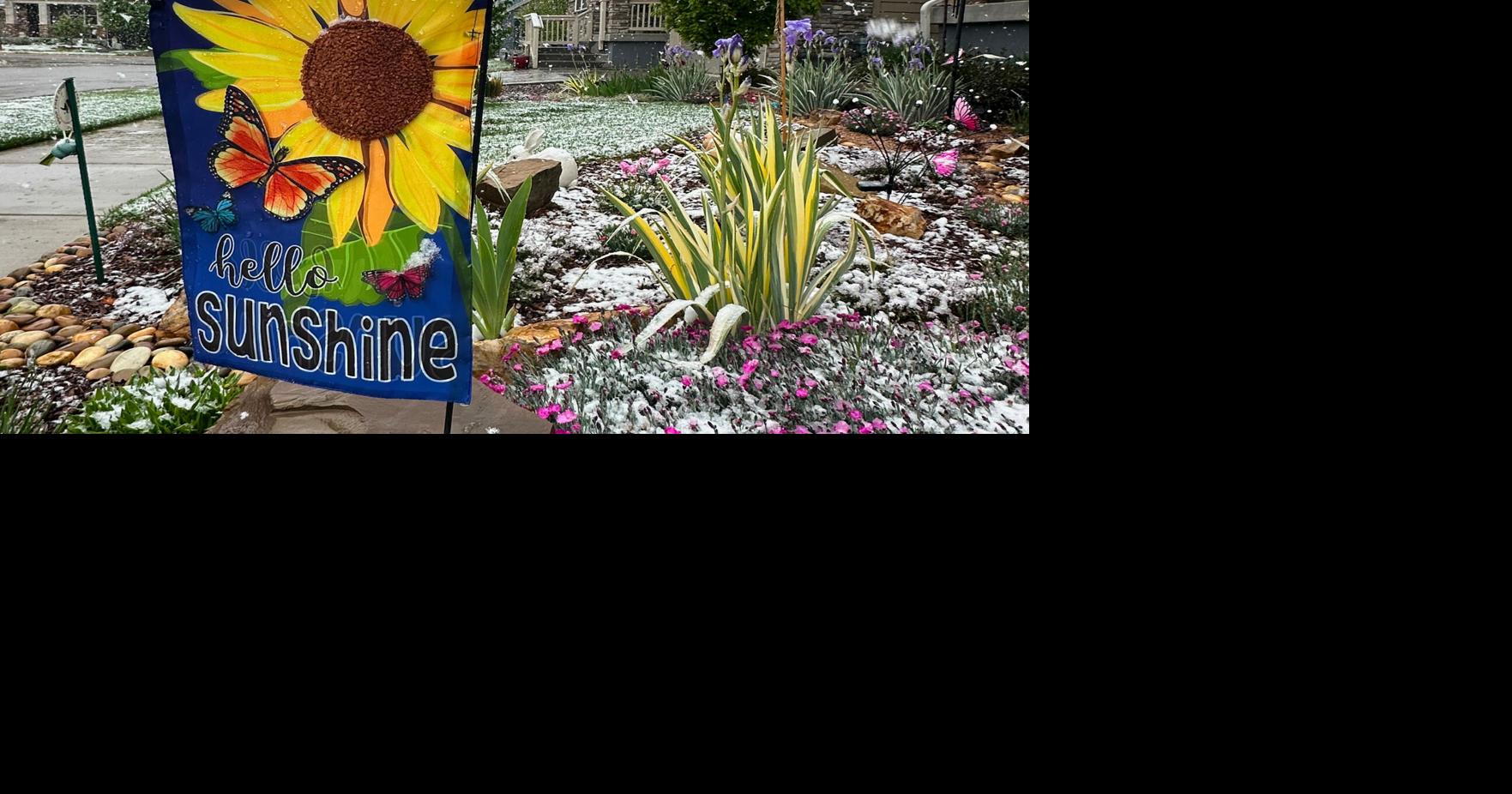 Spring plans meet snow in Denver as a late storm could be the season's ...