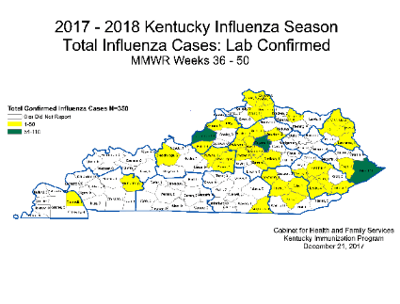 Kentucky seeing widespread flu outbreak | News | thetimestribune.com