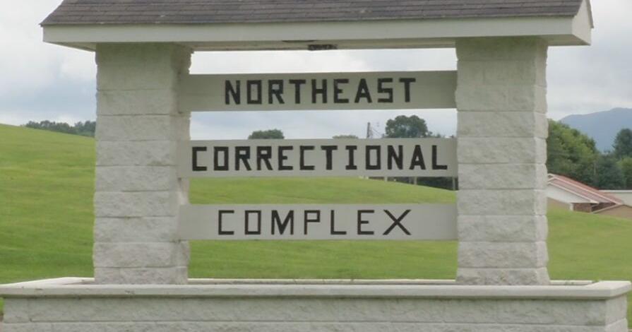 Body scanner promises prison security enhancement | Local News ...