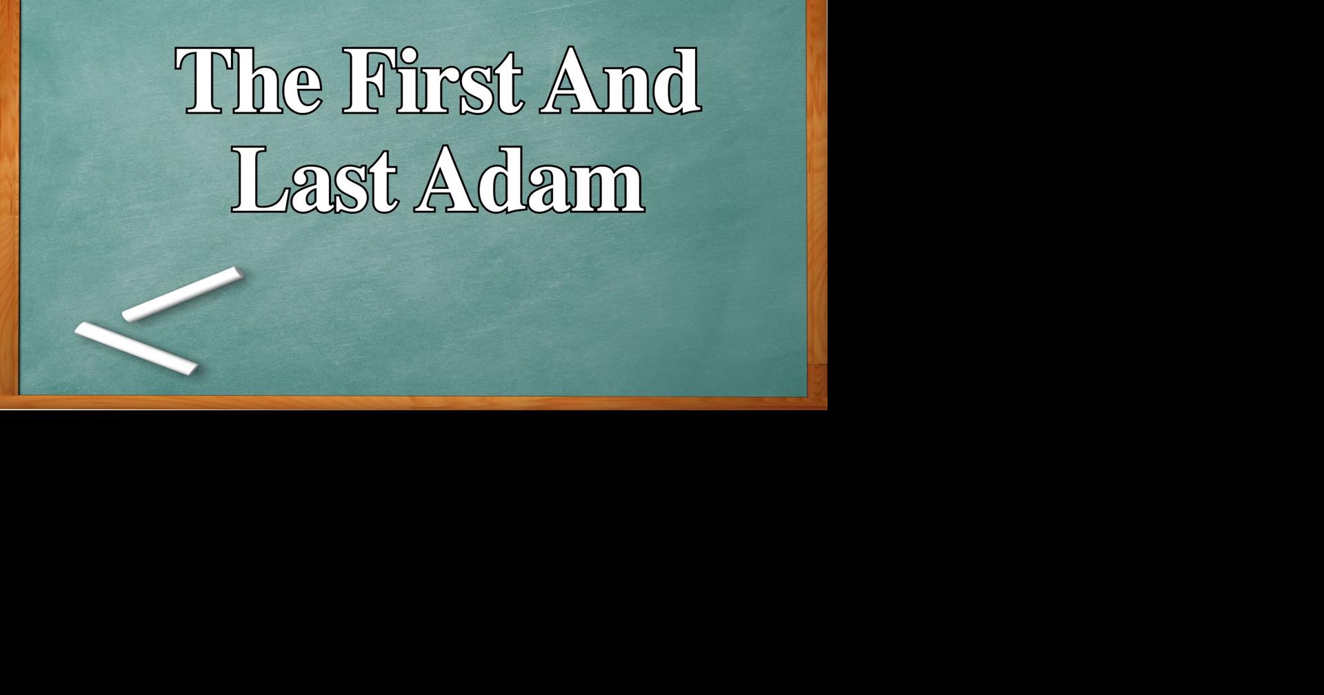 The first and last Adam | Faith | thetomahawk.com