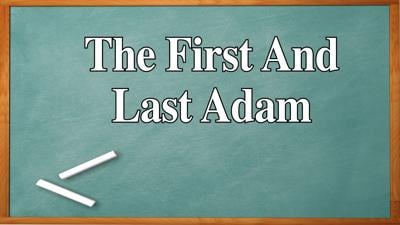 The first and last Adam | Faith | thetomahawk.com