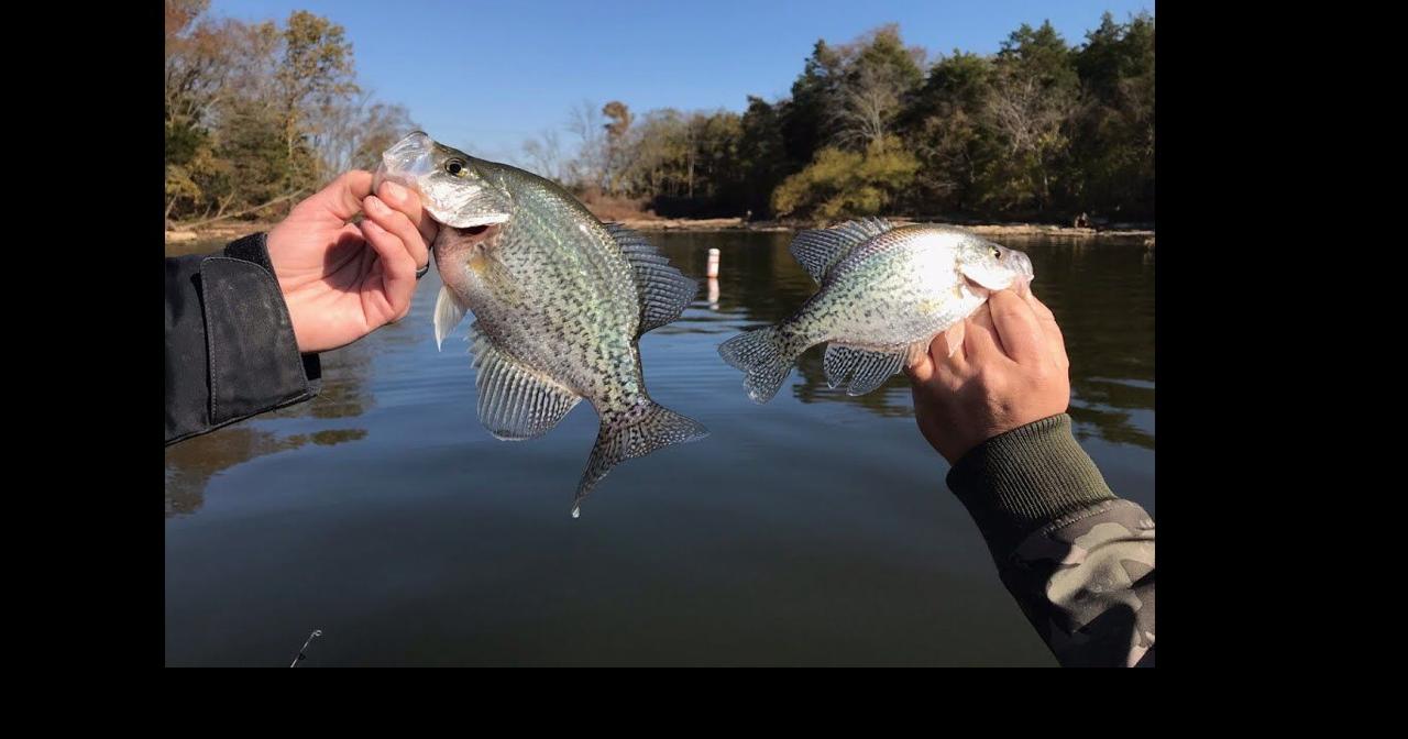 TWRA Requests Public Input for 2025-26 Fishing Regulations | The ...