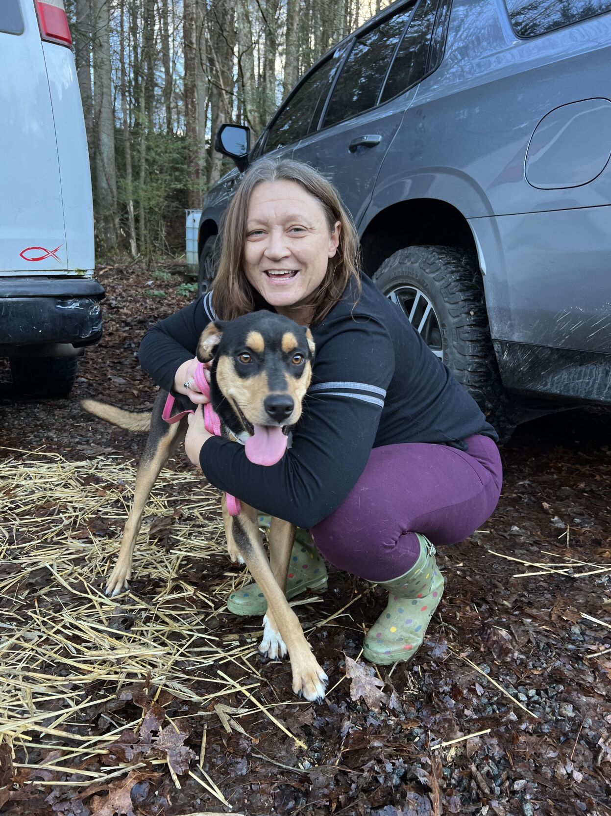 Rescue Roundup | | thetomahawk.com