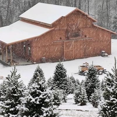 Doe Valley Farm a new tradition | | thetomahawk.com