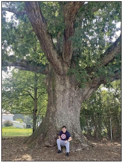 Cunningham Park's giant White Oak receives state championship crown ...