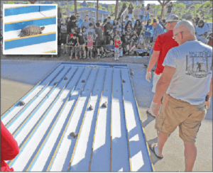 It’s Derby Time – Turtle Derby that is | Community News | thetomahawk.com