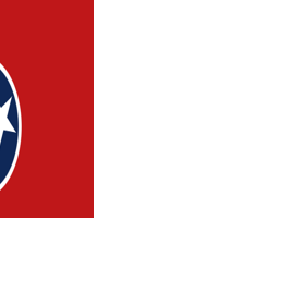 TDOE Announces 2024-25 Tennessee Principal, Supervisor of the Year ...