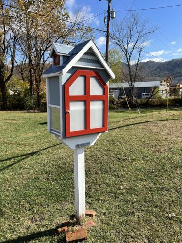 Little Free Library project gains momentum | Community News ...