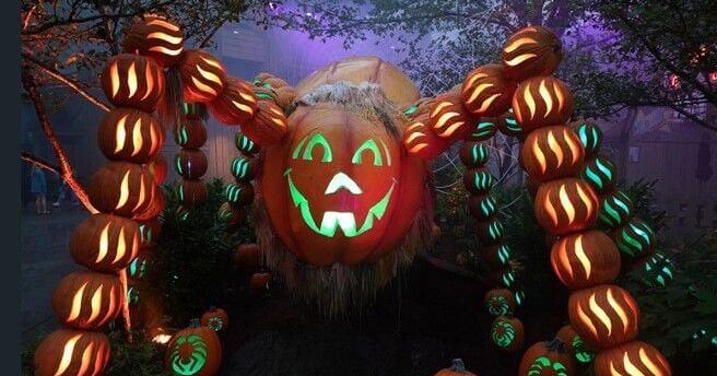 Dollywood’s Harvest Festival welcomes fall | Tri-Cities Scene ...