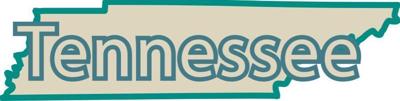 Tennessee down to 8 financially distressed counties | Statewide ...