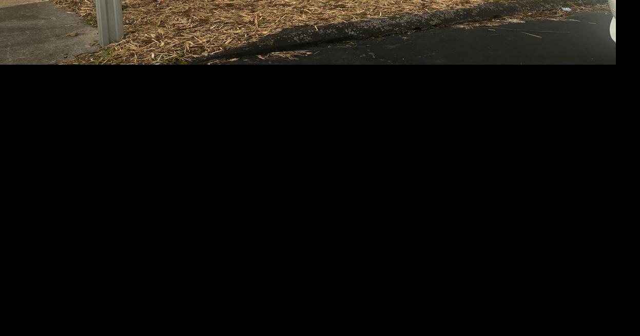 Laurel Elementary School announces its teachers of the year | Community News | thetomahawk.com