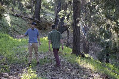 Work begins on Woodpecker Ravine fuels reduction project | News ...