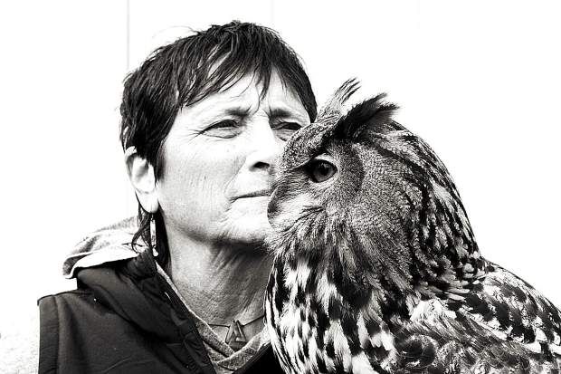 Sierra College to celebrate women through film | News | theunion.com