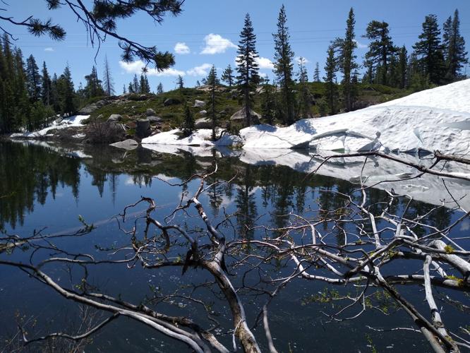 Nevada County Captures: JCP celebrates the 4th of JULY!!! | Multimedia ...