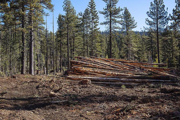 SYRCL, Nisenan join multi-agency effort to restore North Yuba River ...
