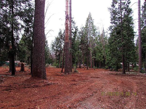 Nevada County uses hazardous vegetation ordinance for 1st time, plans ...