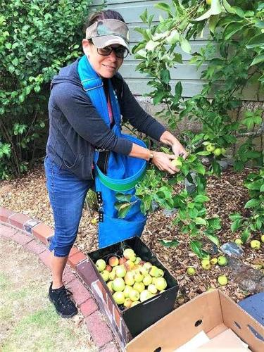 The wisdom of gleaning: Donate excess fruits and veggies, feed a family ...
