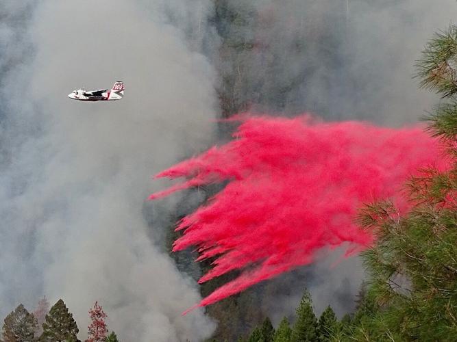 Nevada County Captures: Profile in Color | Multimedia | theunion.com