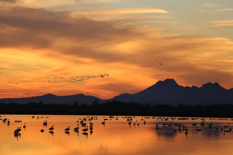 Nevada County Captures: Sunset over the Sutter Buttes! | News ...