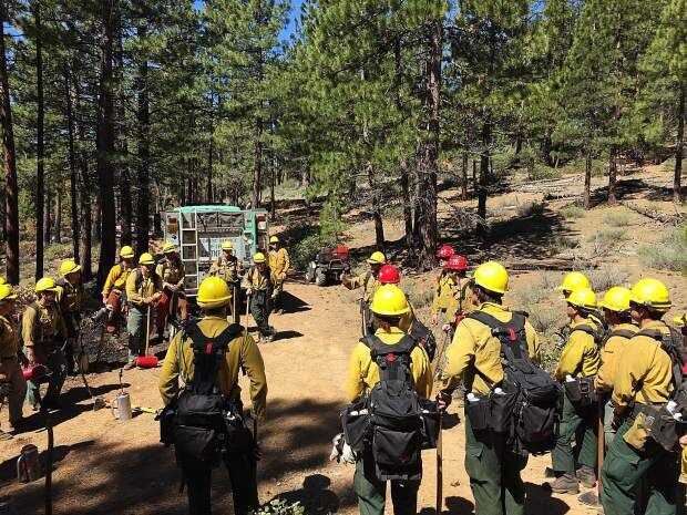 Want to reduce wildfire risk in Truckee Tahoe region? Experts say let ...