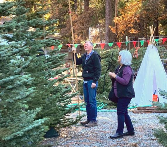 ‘We are your silvertip Christmas tree destination:’ Family run tree lot ...