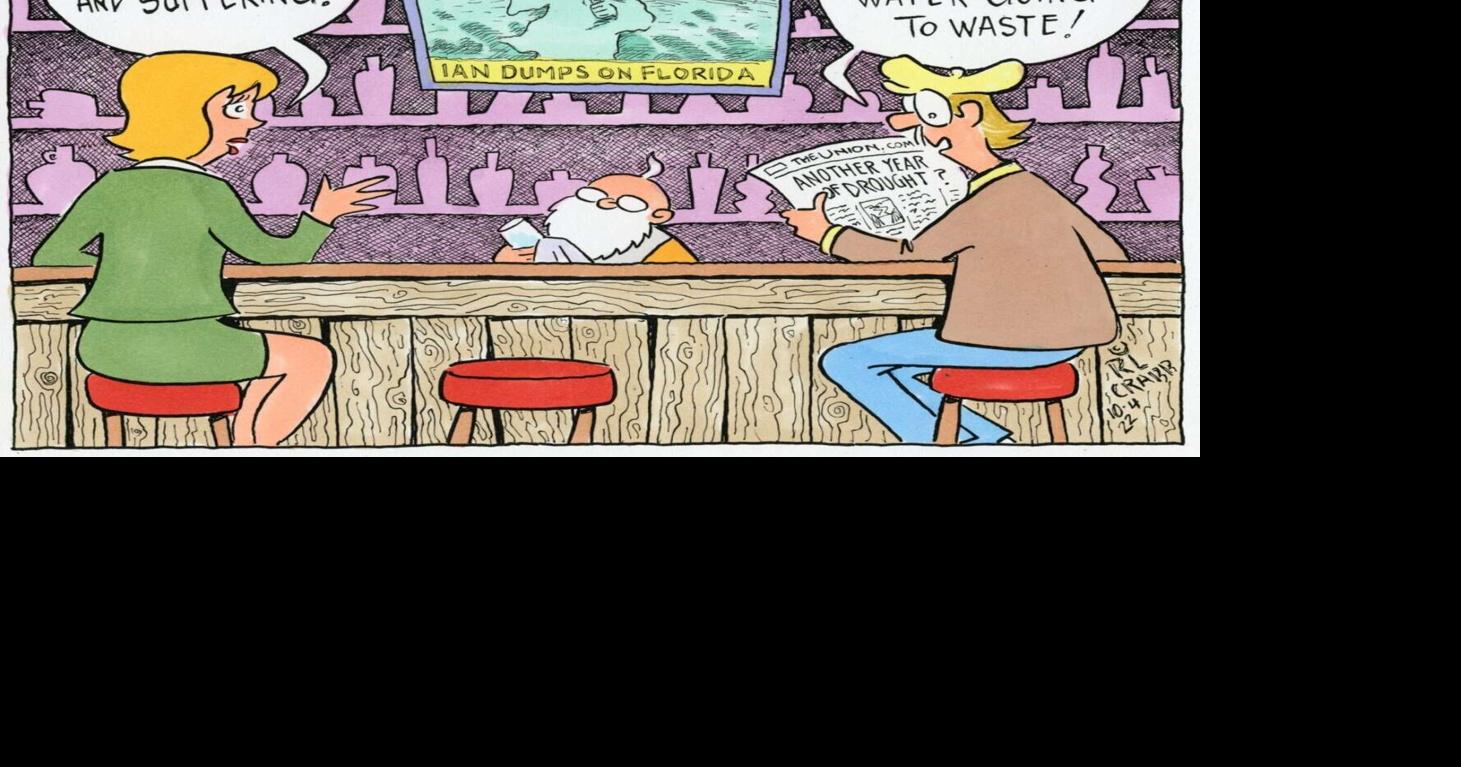 R.L. Crabb: It takes a village idiot | Cartoons | theunion.com