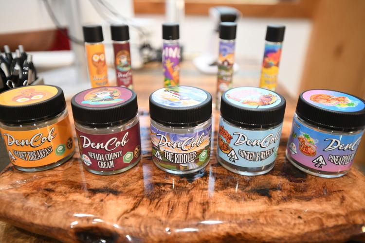 From seed to sale: First retail cannabis farm in California beginning ...